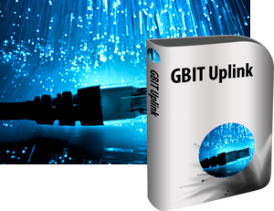 Dedicated Server Windows van STRATO Top server-hardware